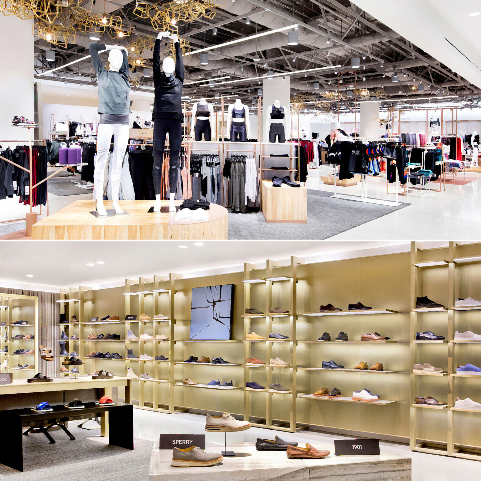 Transforma tu Tienda: Guía Práctica para tener el Layout Perfecto ...